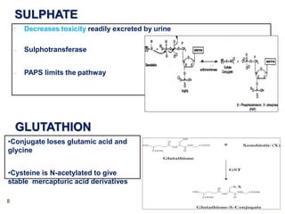 Biotransformation01 abtphd17 | PPTX