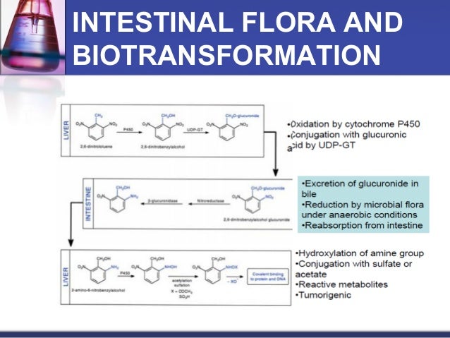Biotransformation