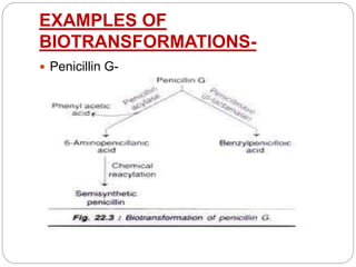 Biotransformation by violina kalita | PPTX