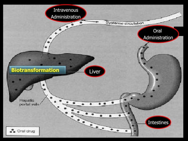 Drug metabolism : Biotransformation | PPTX