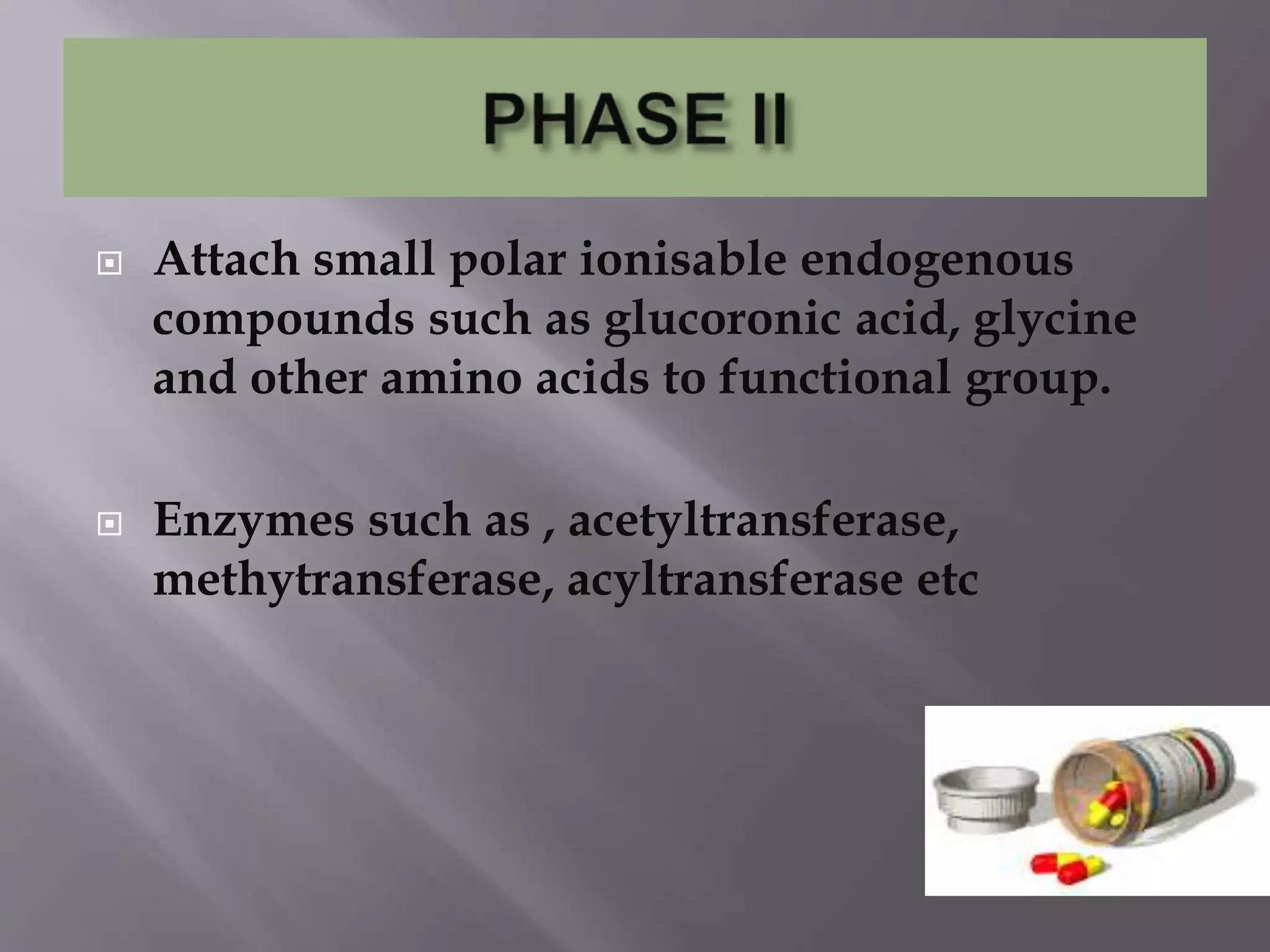 Biotransformation of antibiotics, steroids and their applications | PPTX