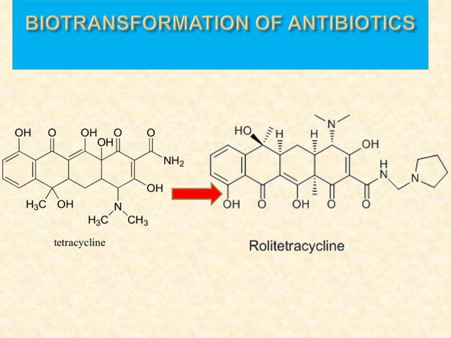 Biotransformation of antibiotics, steroids and their applications | PPTX