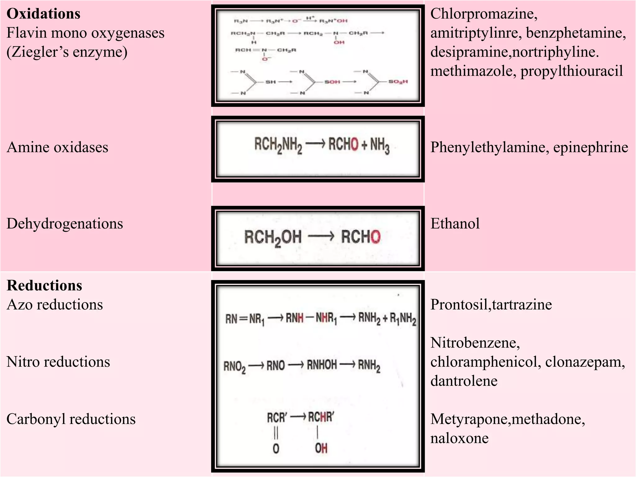 Biotransformation of drugs | PPTX