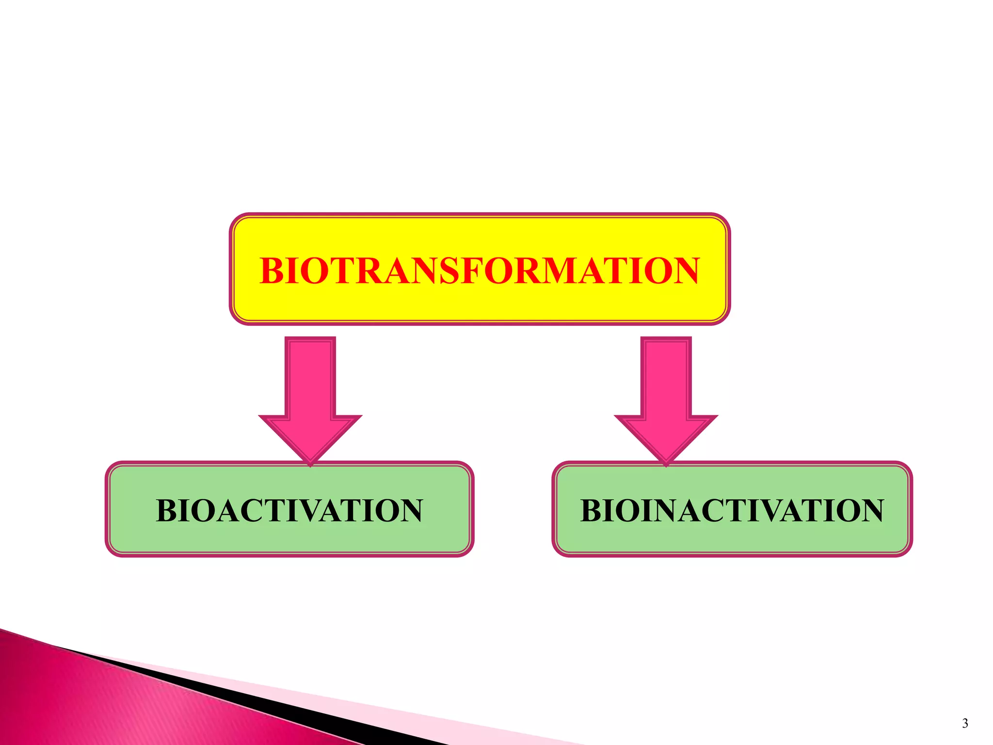 Biotransformation of drugs | PPTX