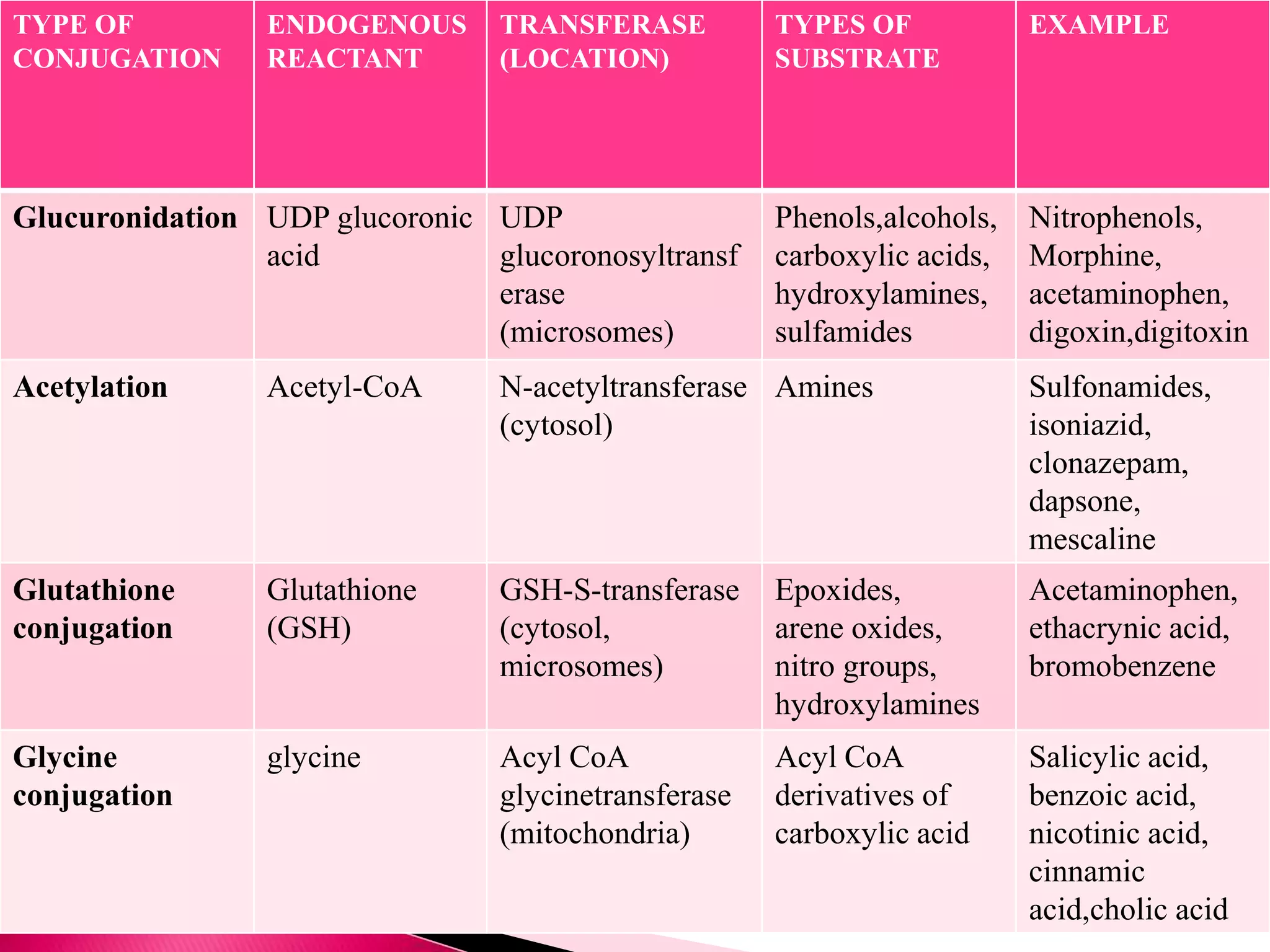 Biotransformation of drugs | PPTX