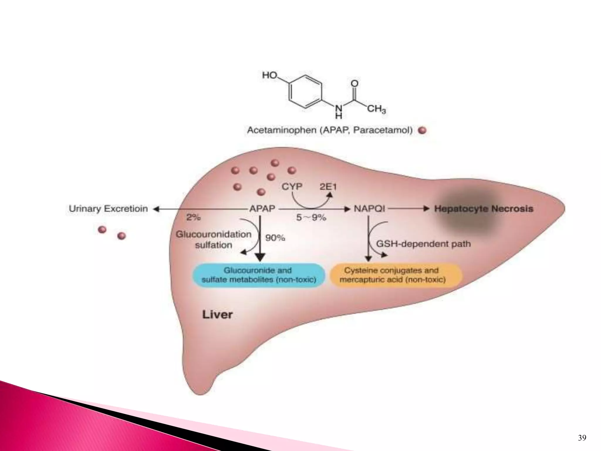 Biotransformation of drugs | PPTX