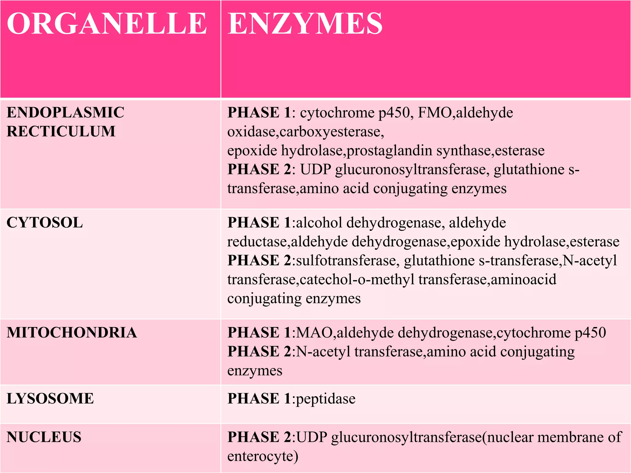 Biotransformation of drugs | PPTX