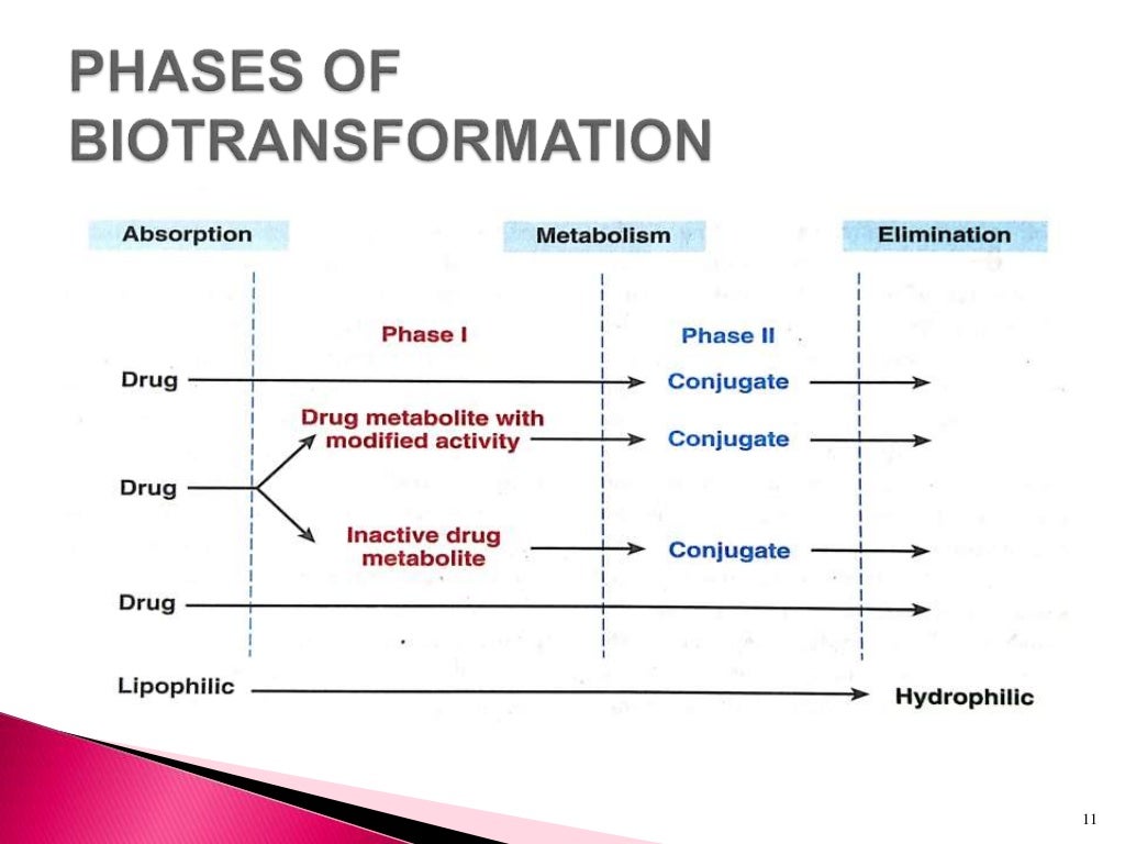 Biotransformation of drugs