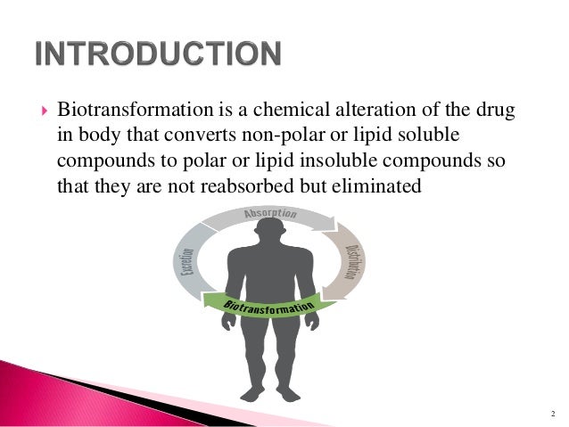 Biotransformation of drugs