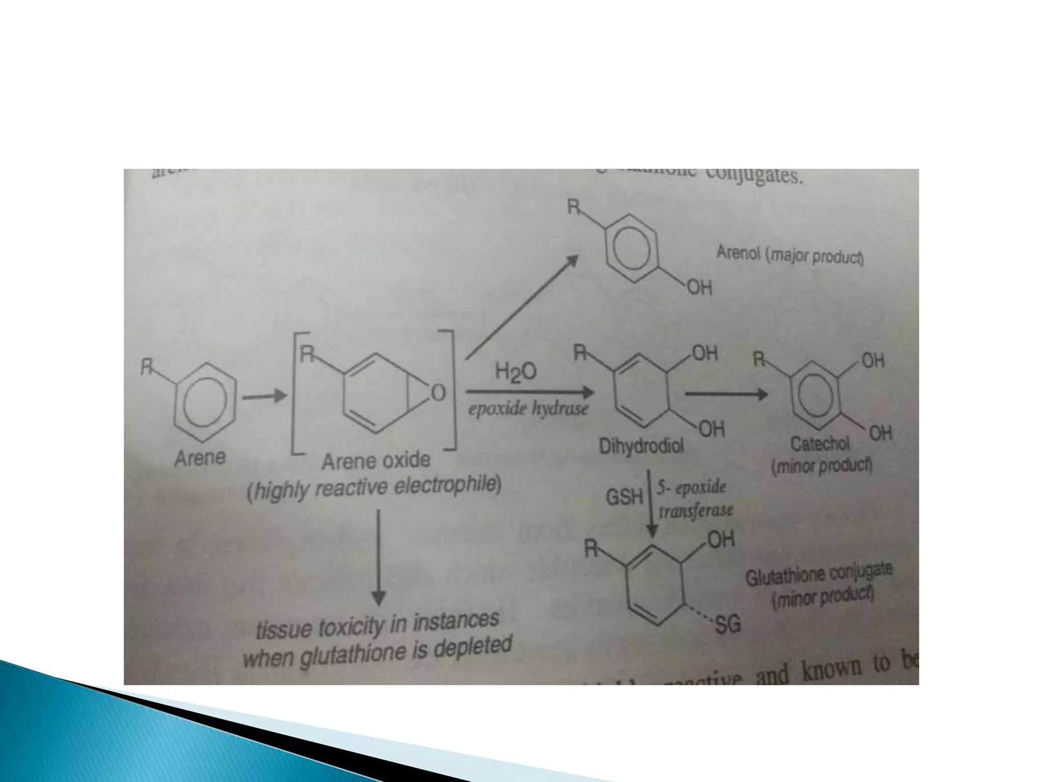 Biotransformation of drugs | PPTX
