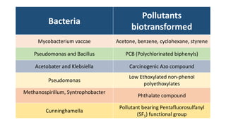 BIOTRANSFORMATION OF NON-STEROID COMPOUNDS.pptx