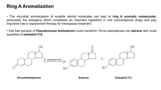 BIOTRANSFORMATION MECHANISM FOR OF STEROID | PPT