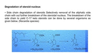 BIOTRANSFORMATION MECHANISM FOR OF STEROID | PPT