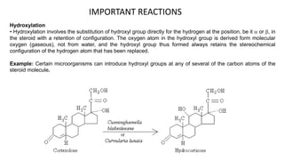 BIOTRANSFORMATION MECHANISM FOR OF STEROID | PPT
