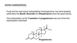BIOTRANSFORMATION MECHANISM FOR OF STEROID | PPT