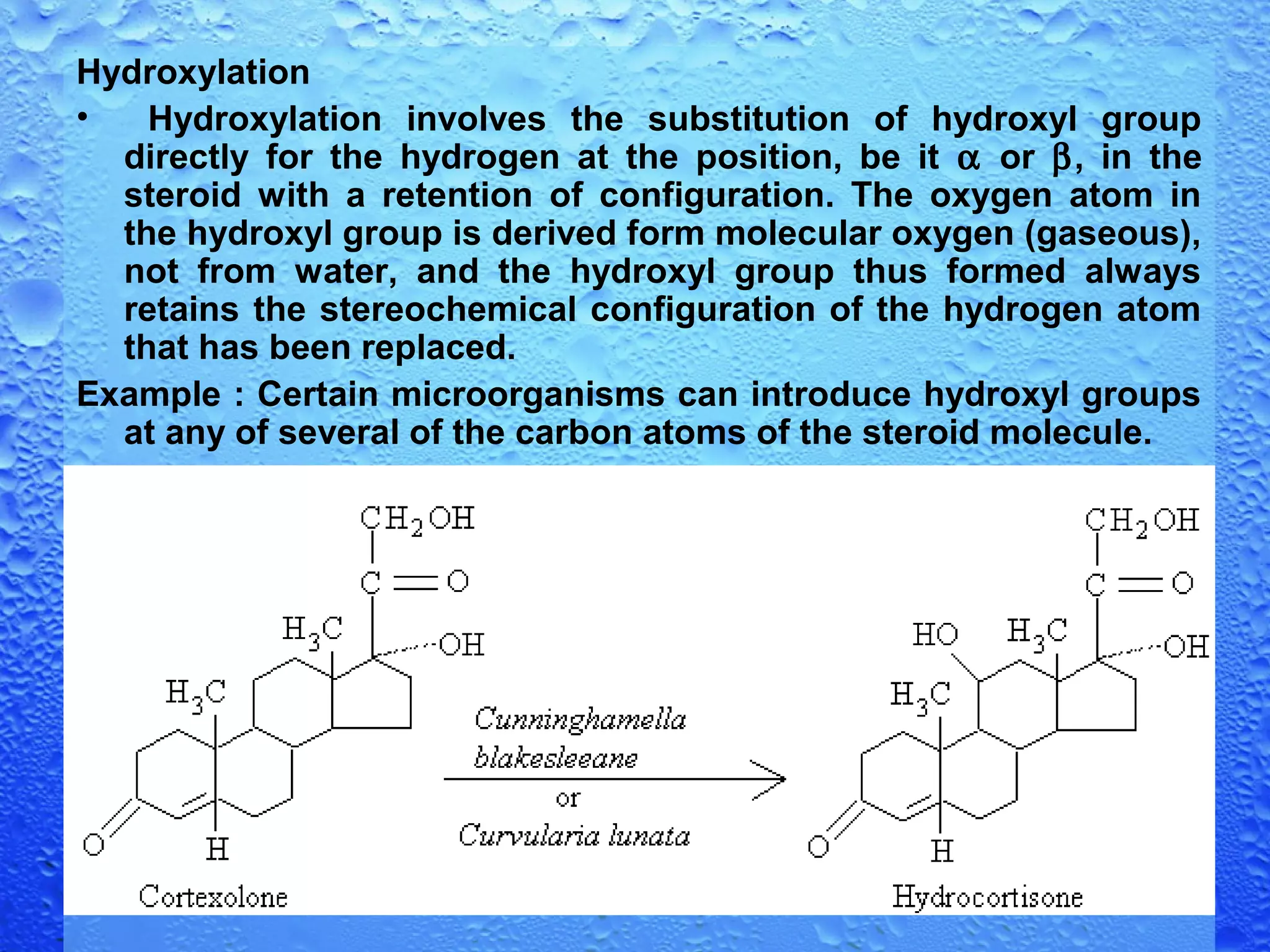 Biotransformation of steroids | PPT