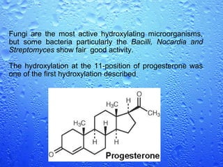 Biotransformation of steroids | PPT