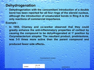 Biotransformation of steroids | PPT