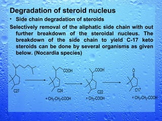 Biotransformation of steroids | PPT
