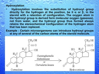 Biotransformation of steroids | PPT