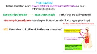 BIOTRANSFORMATION presentation 2023.pptx