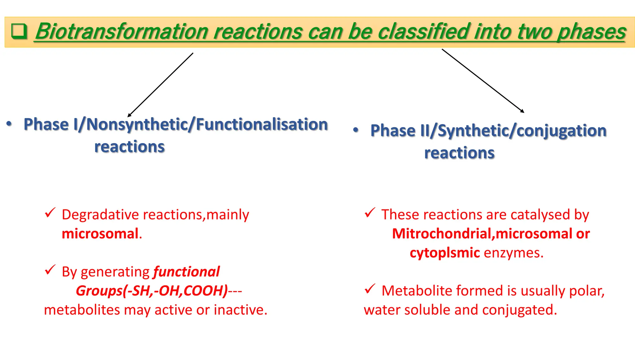 BIOTRANSFORMATION_presentation_2023 Sayan Ghosh.pptx