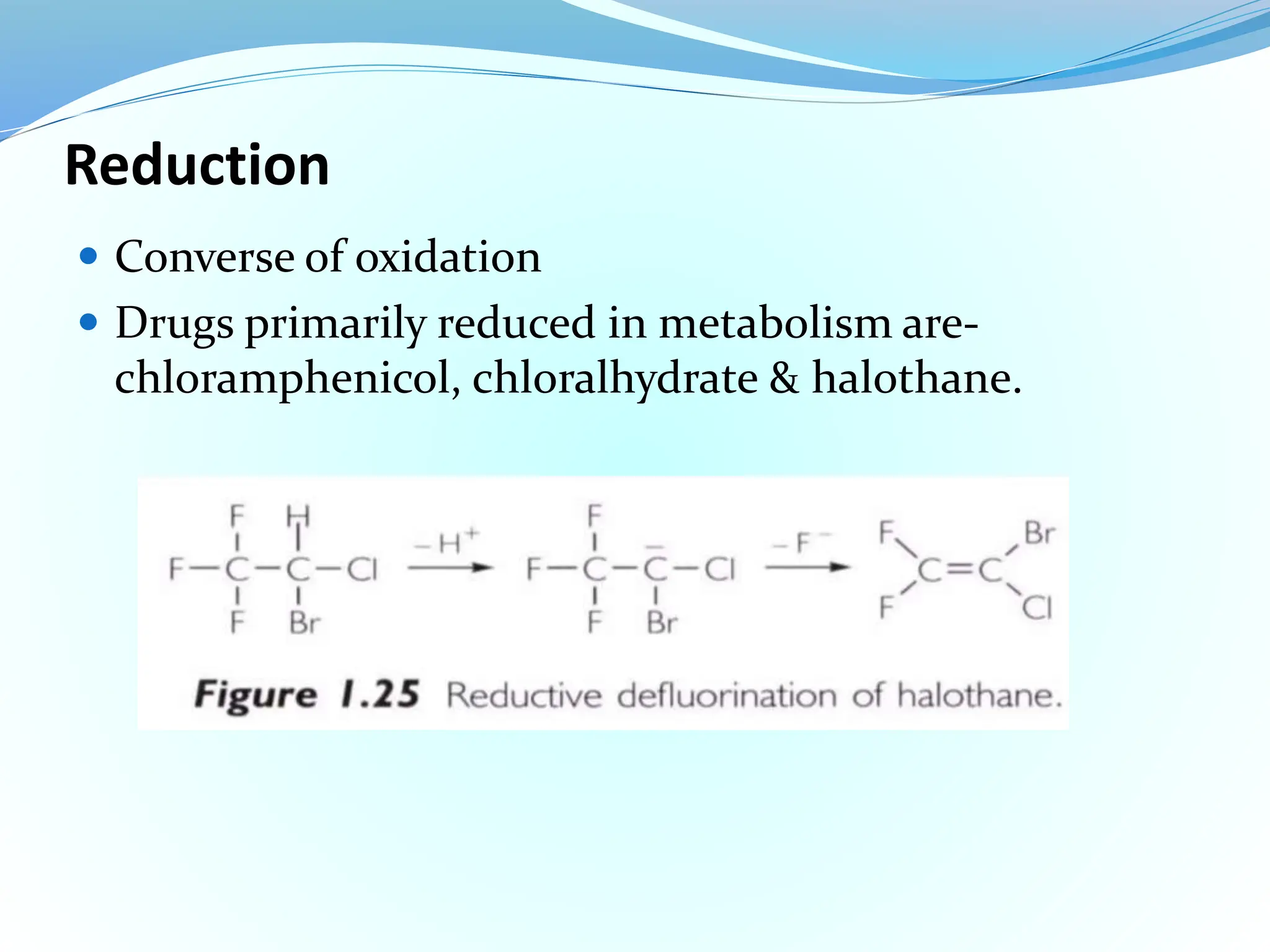 BIOTRANSFORMATION UNIT -1 DRUG METABOLISM (1).pptx