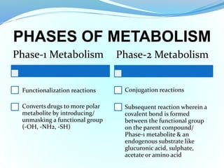 BIOTRANSFORMATION UNIT -1 DRUG METABOLISM (1).pptx