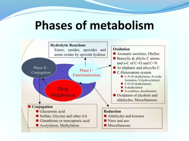 BIOTRANSFORMATION UNIT -1 DRUG METABOLISM (1).pptx
