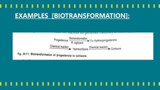 Biotransformation (with reference to steroids and alkalines | PPTX