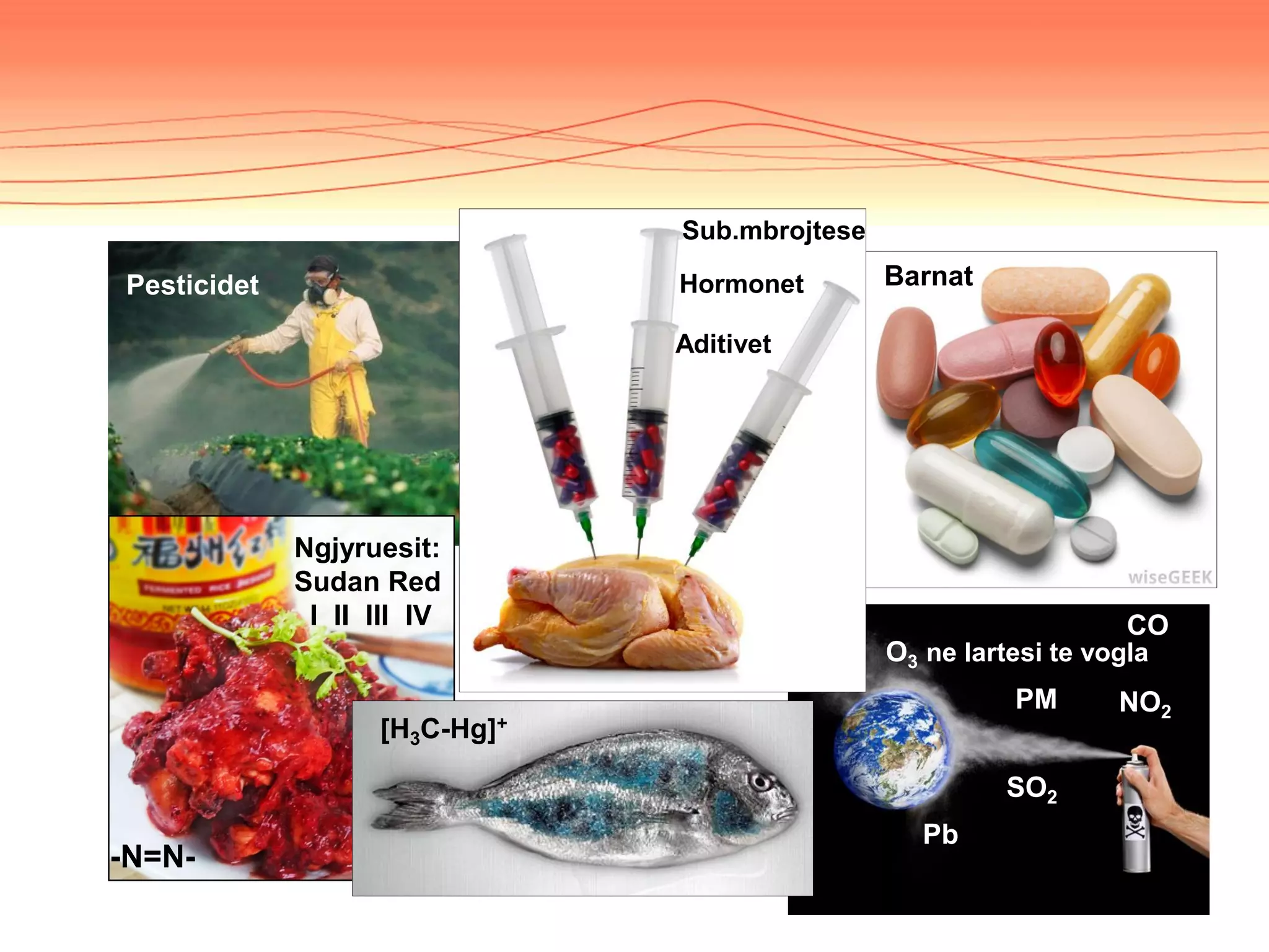 Metabolizmi i barnave dhe helmeve (Biotransformimi) | PPTX