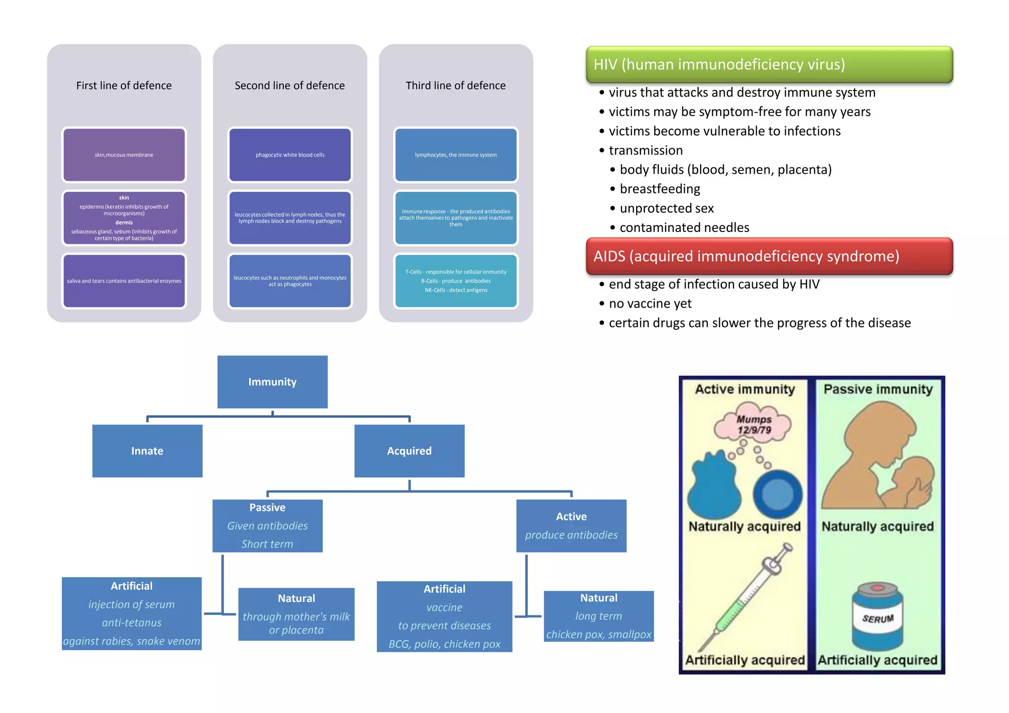 Bio Transport notes | PDF