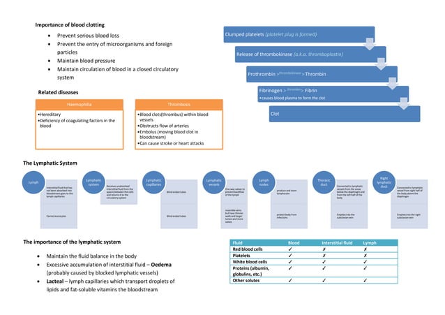 Bio Transport notes | PPT