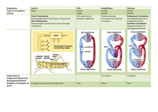 Bio Transport notes | PPT