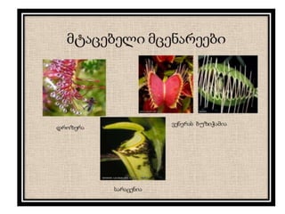 Bioturi faqtorebi | PPT