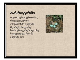 Bioturi faqtorebi | PPT