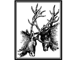 Bioturi faqtorebi | PPT