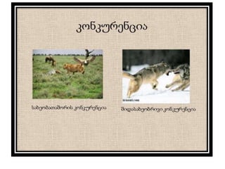 Bioturi faqtorebi | PPT