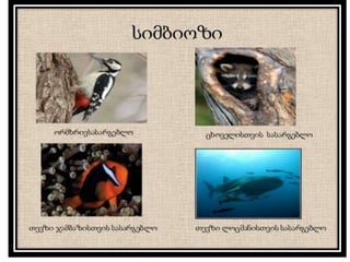 Bioturi faqtorebi | PPT