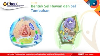 Biologi Umum/Dasar-Struktur Sel Organisme dan Fungsinya.pdf