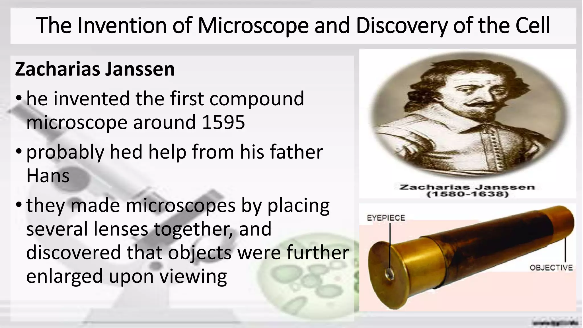 Biology 1 for Senior High School | PPTX | Biological Sciences | Science
