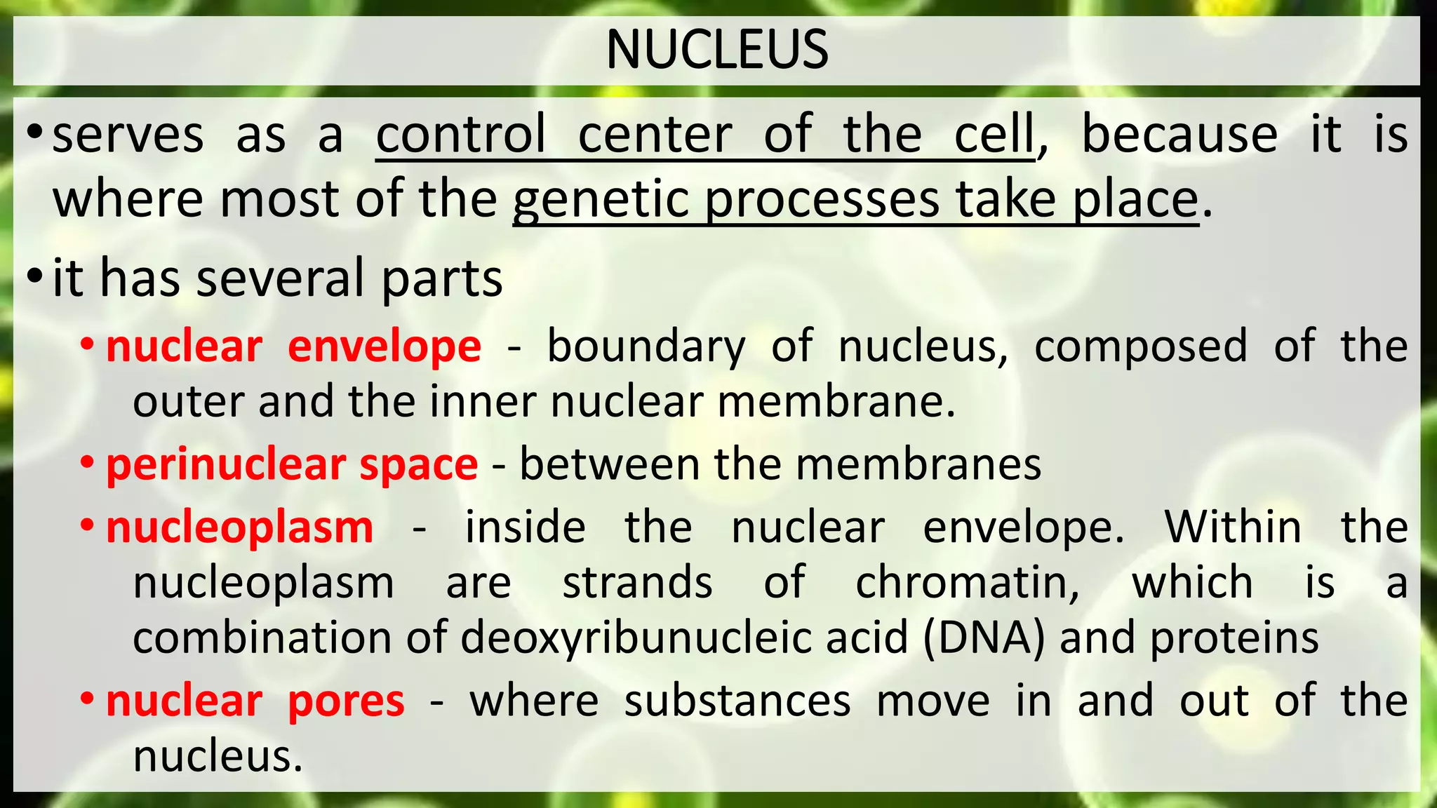 Biology 1 for grade 12 SHS (cell structure) | PPTX