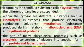 Biology 1 for grade 12 SHS (cell structure) | PPTX