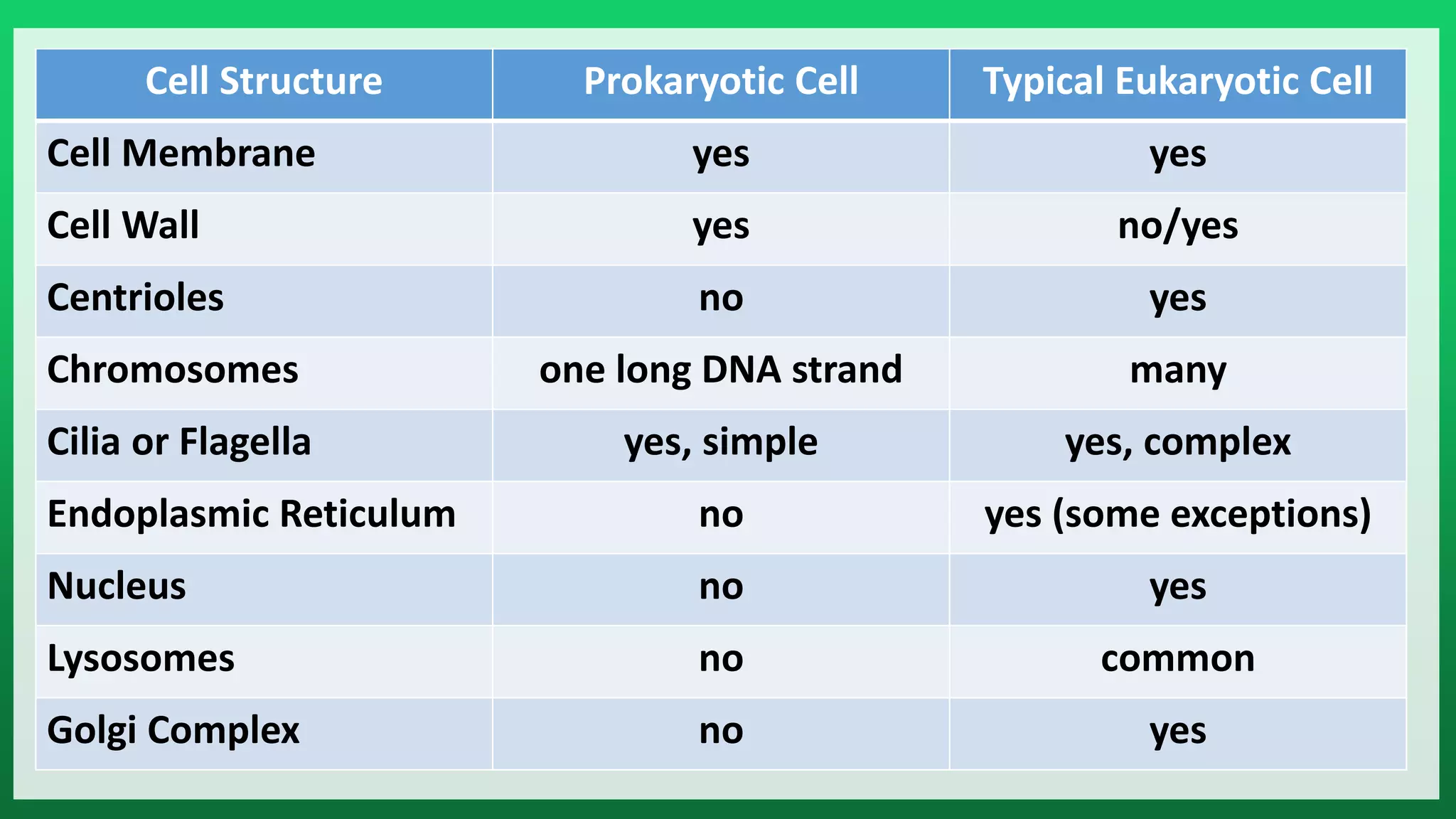 Prokaryotes vs. Eukaryotes topic for Senior High School (General ...