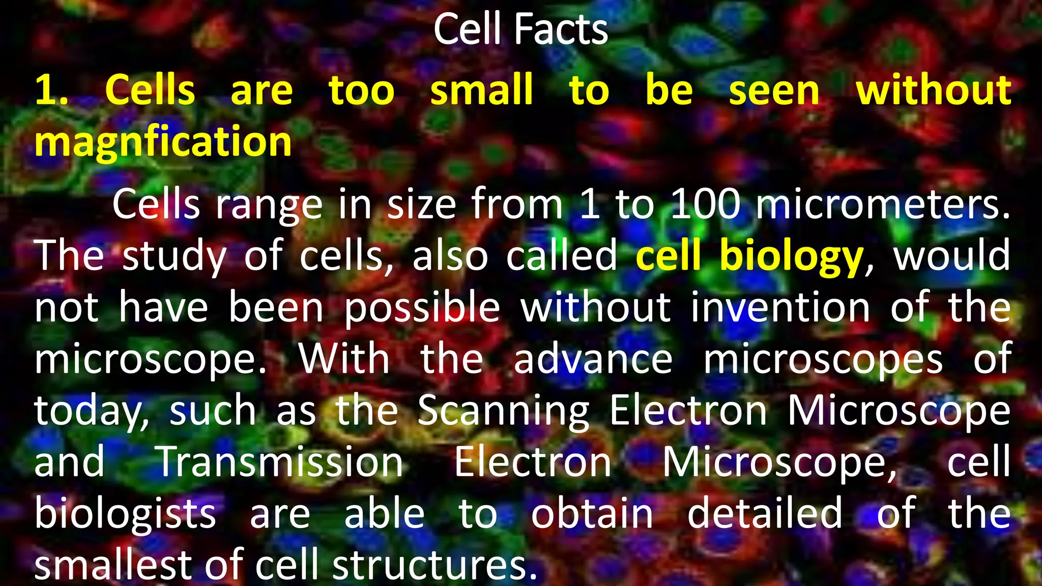 Prokaryotes vs. Eukaryotes topic for Senior High School (General ...