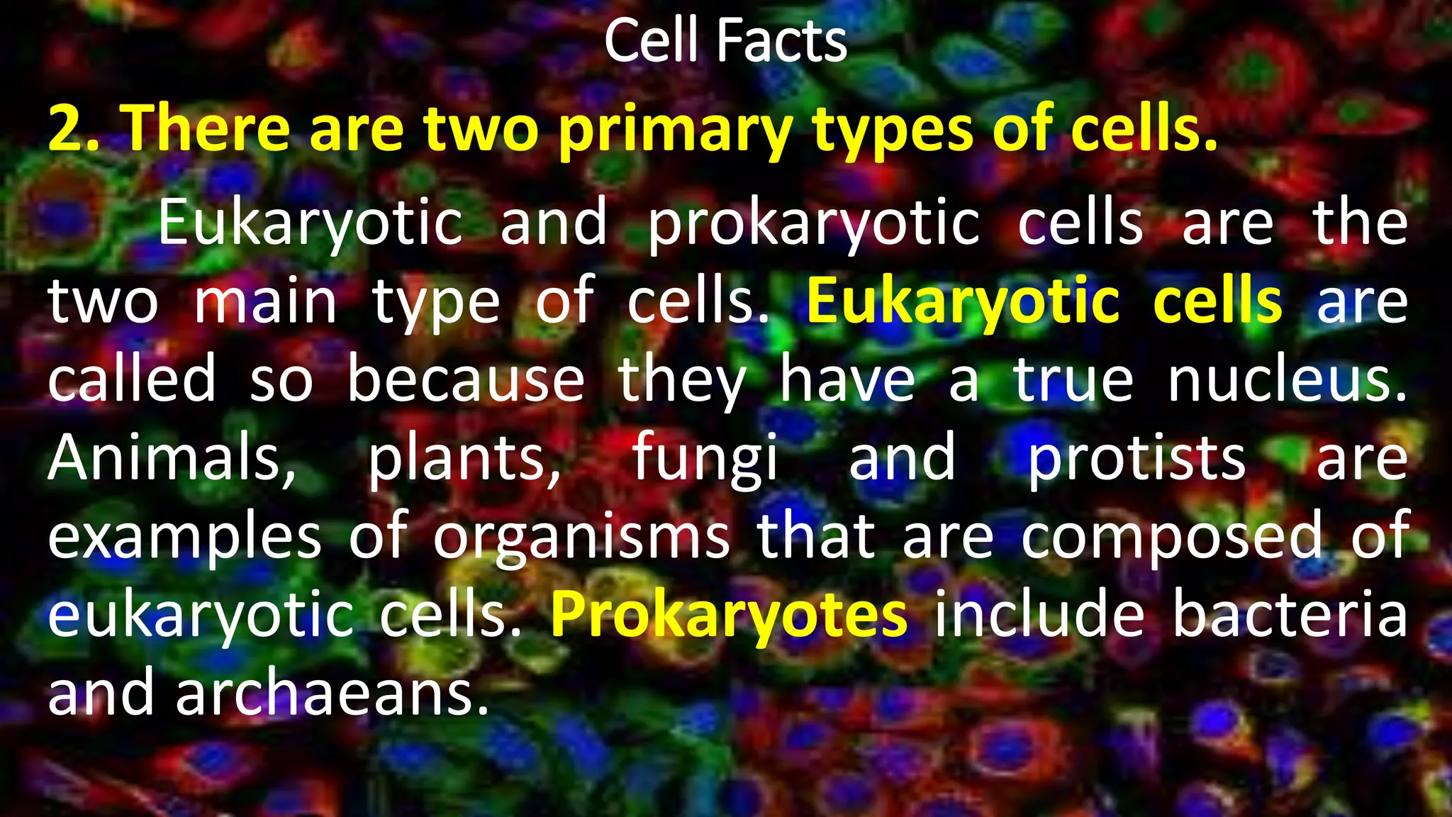 Prokaryotes vs. Eukaryotes topic for Senior High School (General ...