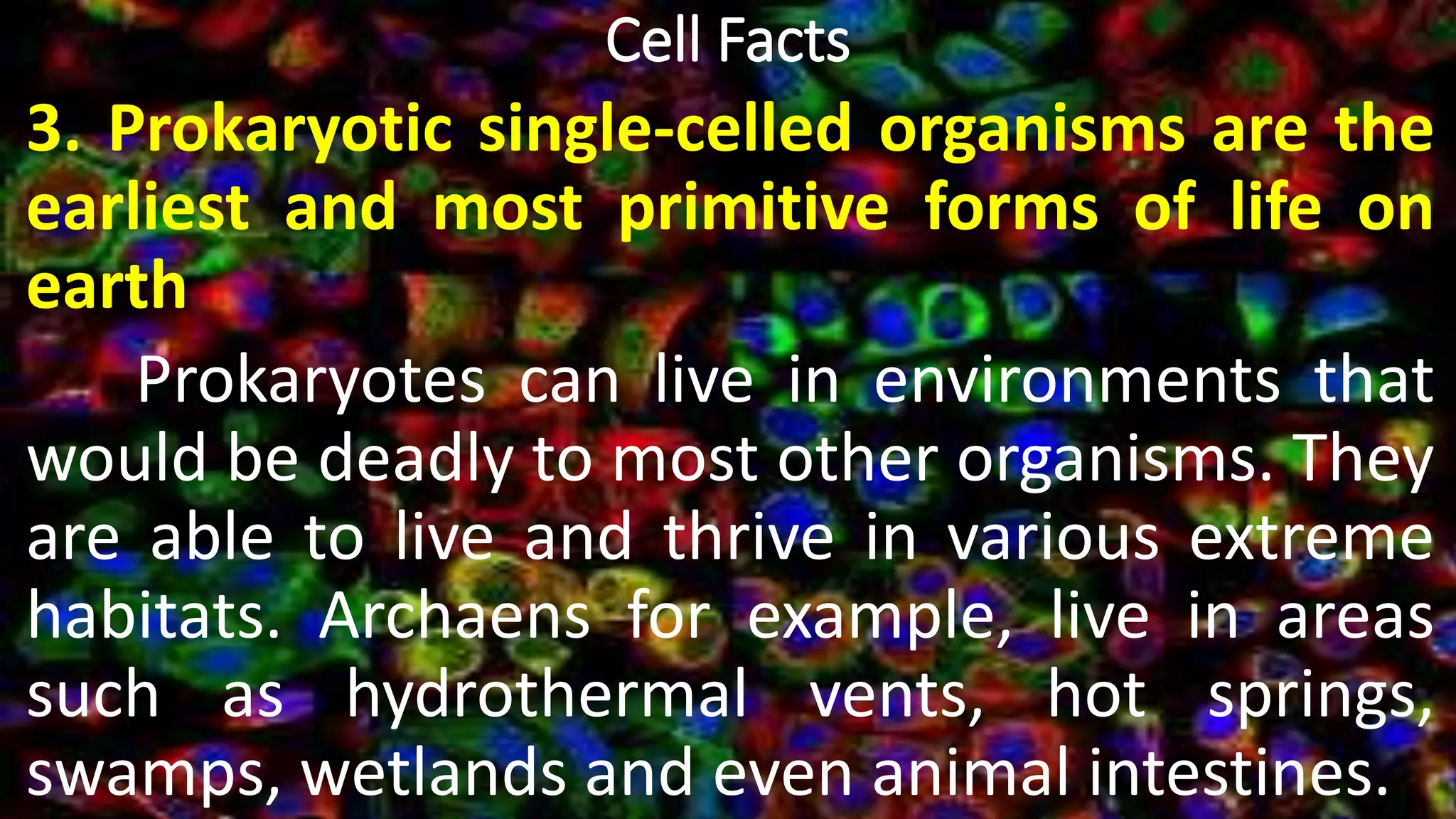 Prokaryotes vs. Eukaryotes topic for Senior High School (General ...