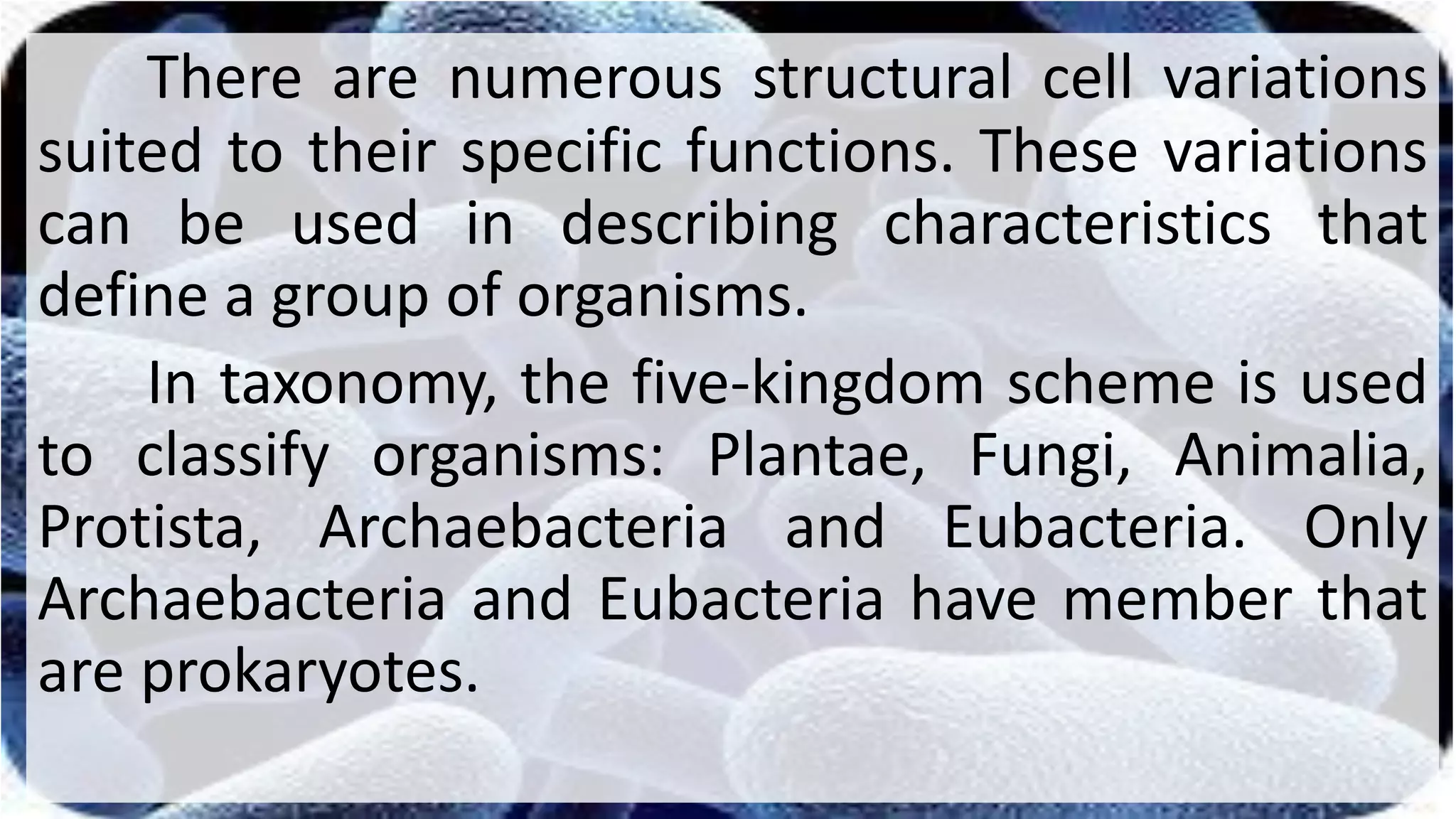 Prokaryotes vs. Eukaryotes topic for Senior High School (General ...