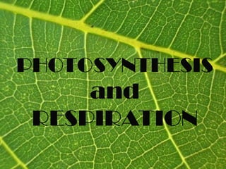 BIO UNIT Photosynthesis-Cellular Respiration shortversion.ppt