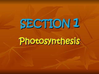 BIO UNIT Photosynthesis-Cellular Respiration shortversion.ppt